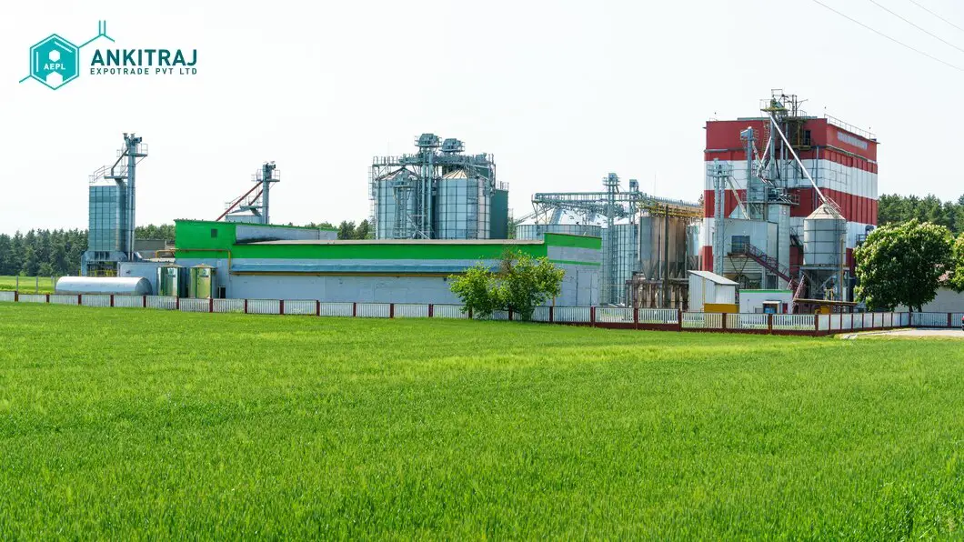 Ankitraj Expotrade Agro Exports : Spices, Feed, Herbs